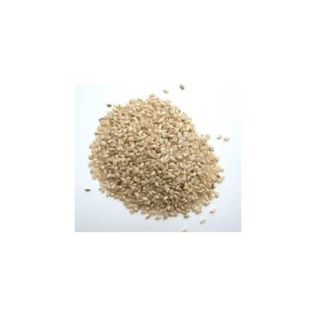 BIO Riz complet grain rond 2.5kg